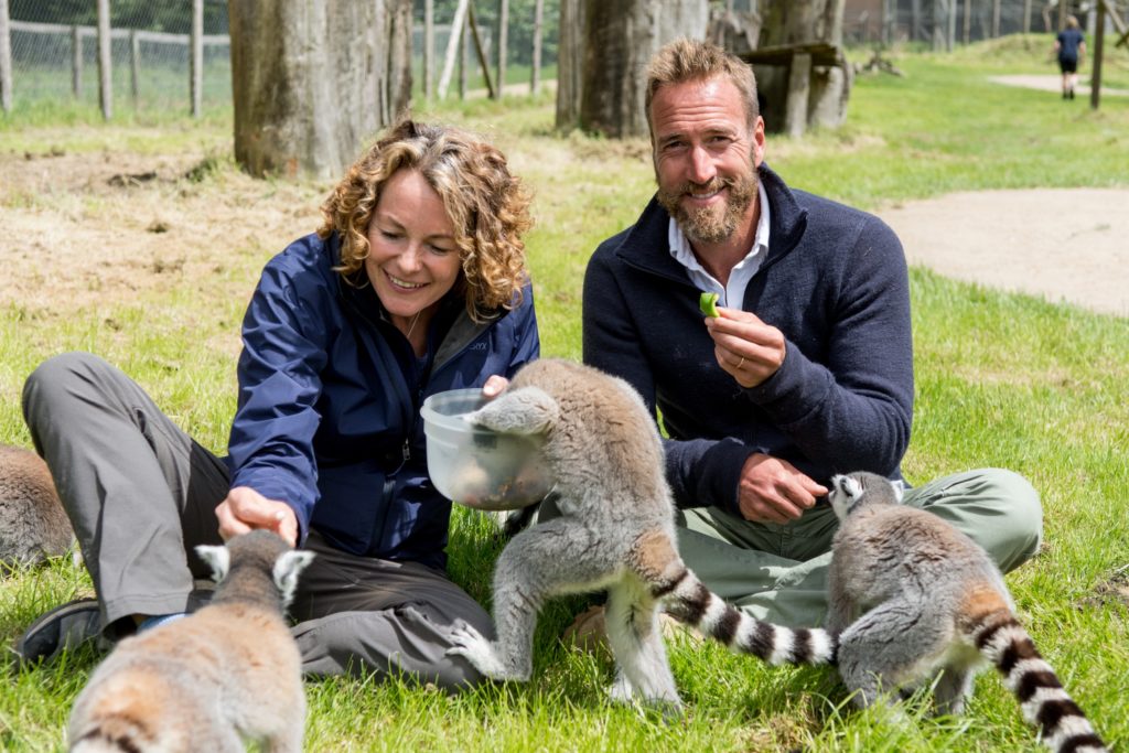 ANIMAL PARK SUMMER SPECIAL AT LONGLEAT