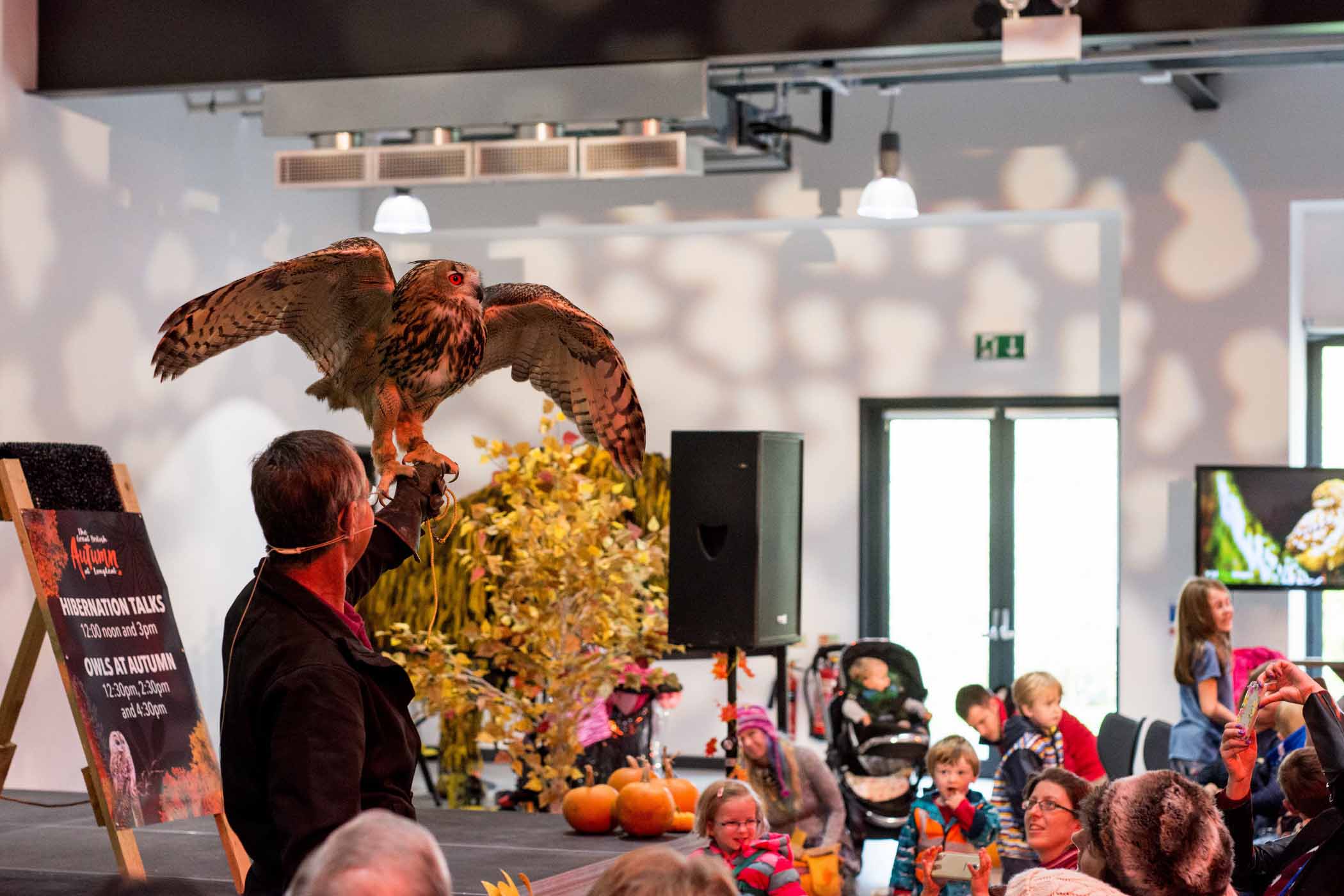 CELEBRATE THE GREAT BRITISH AUTUMN AT LONGLEAT