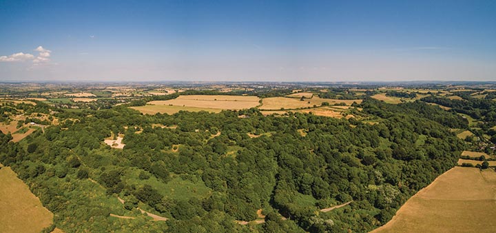 Iron Age hillfort secured at Ham Hill following purchase of land